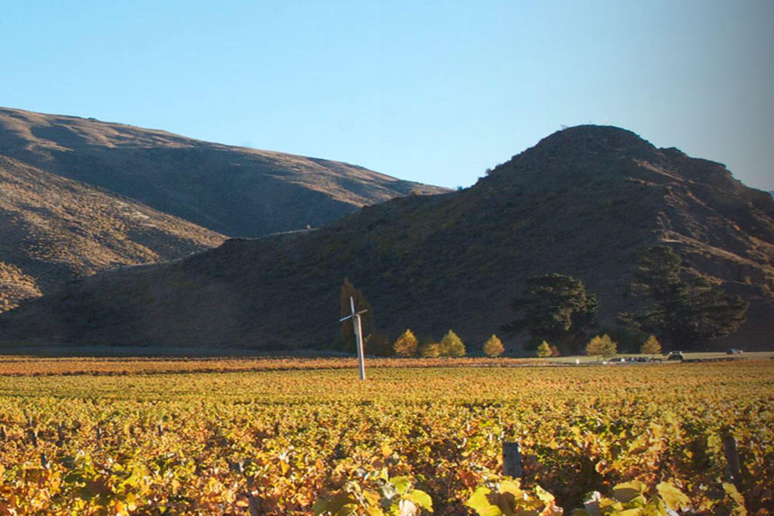 A Day With Guy Boanas of Mount Rosa Wines - Altitude Tours