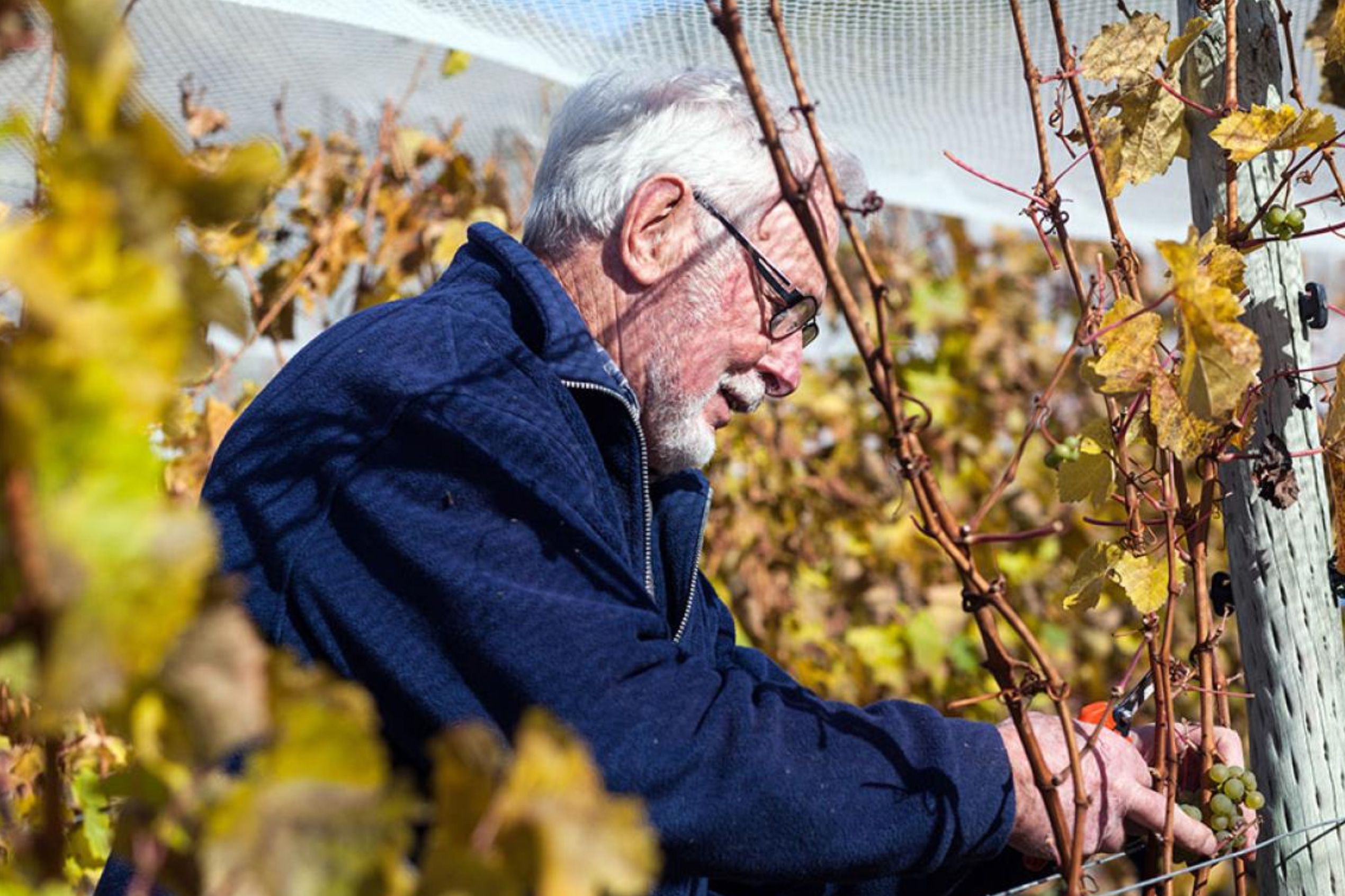 Alan Brady is the Founding Father of Central Otago Wines