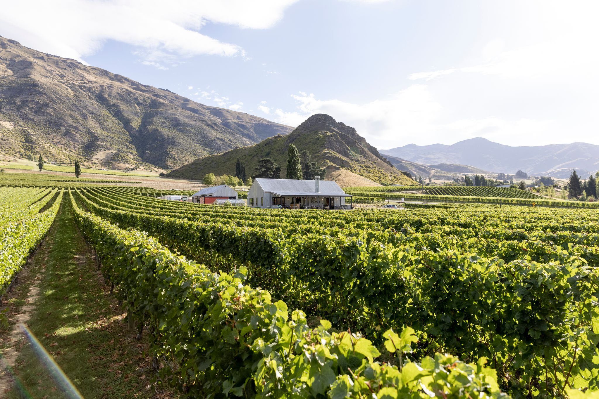Choosing the Right Altitude Tasting Tour for You - Altitude Tours