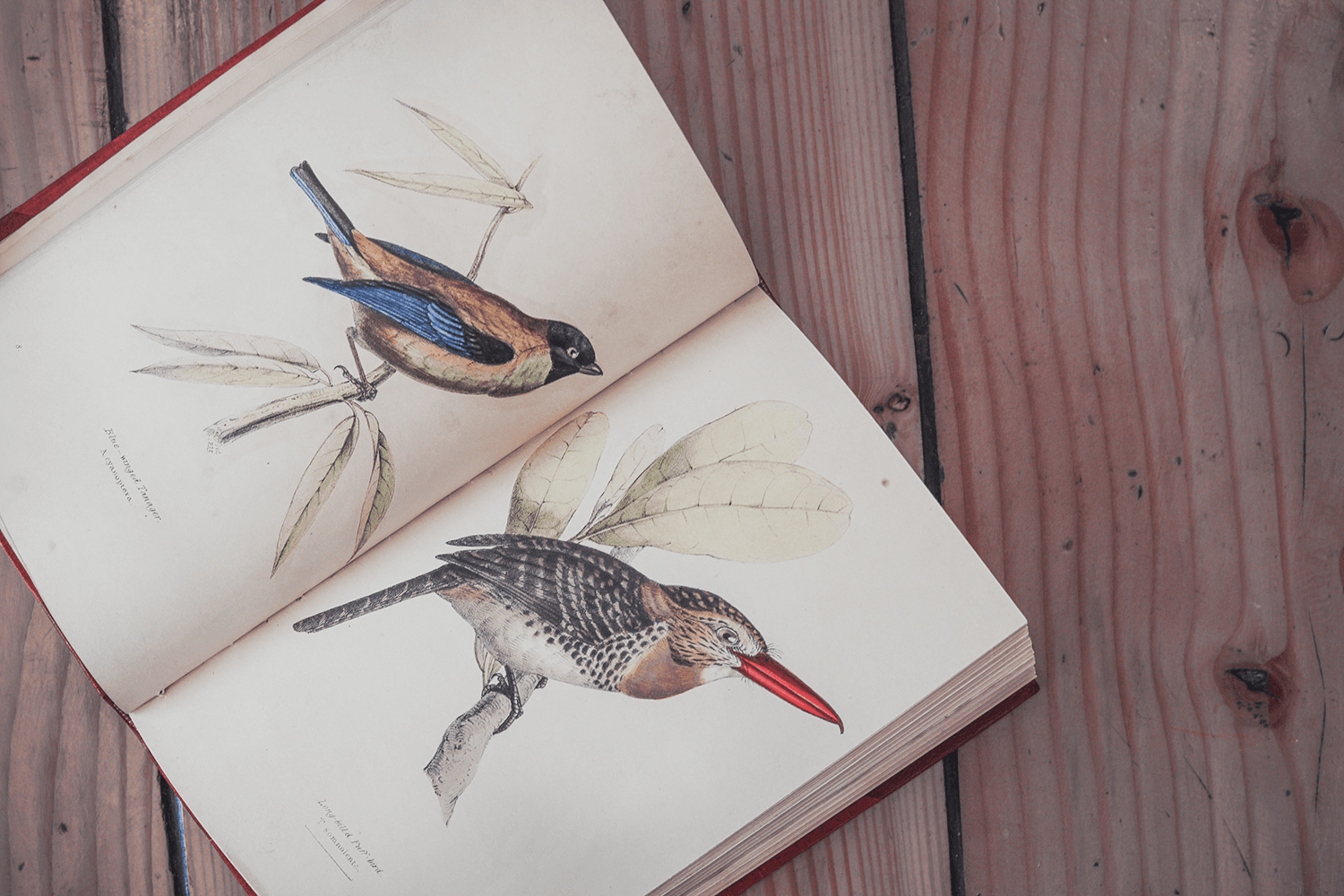 Sustainable Wine Tours with Hawkshead and Altitude Tours